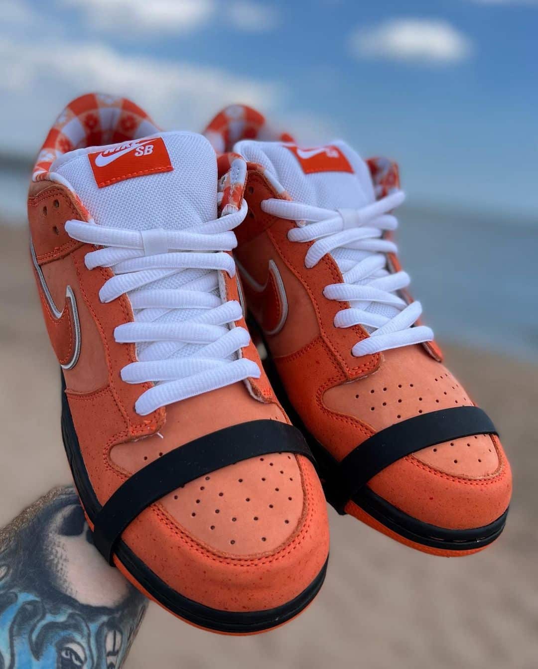 Concepts x Nike SB Dunk Low Concepts x Nike SB Dunk Low